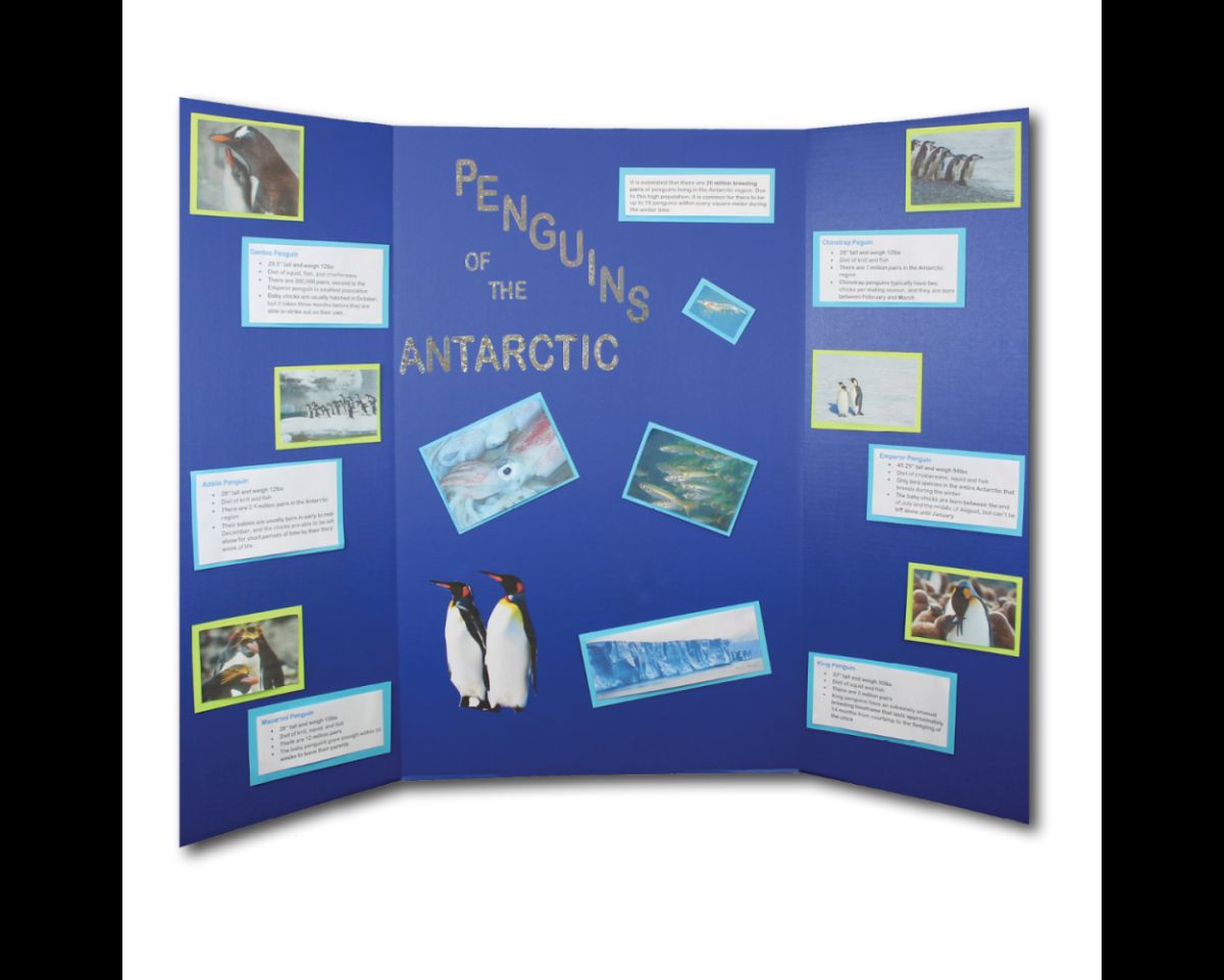 24 Pieces 36" X 48" Assorted Colors Corrugated Project Board - Poster ...