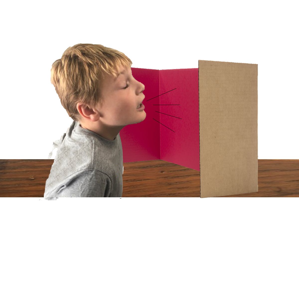 24 Pieces Corrugated Study Carrels, 12" X 48", White - Classroom ...