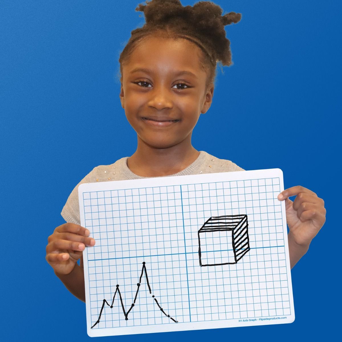 12 Pieces 9" X 12" Magnetic, Xy Axis, TwO-Sided, Dry Erase Learning Mat ...
