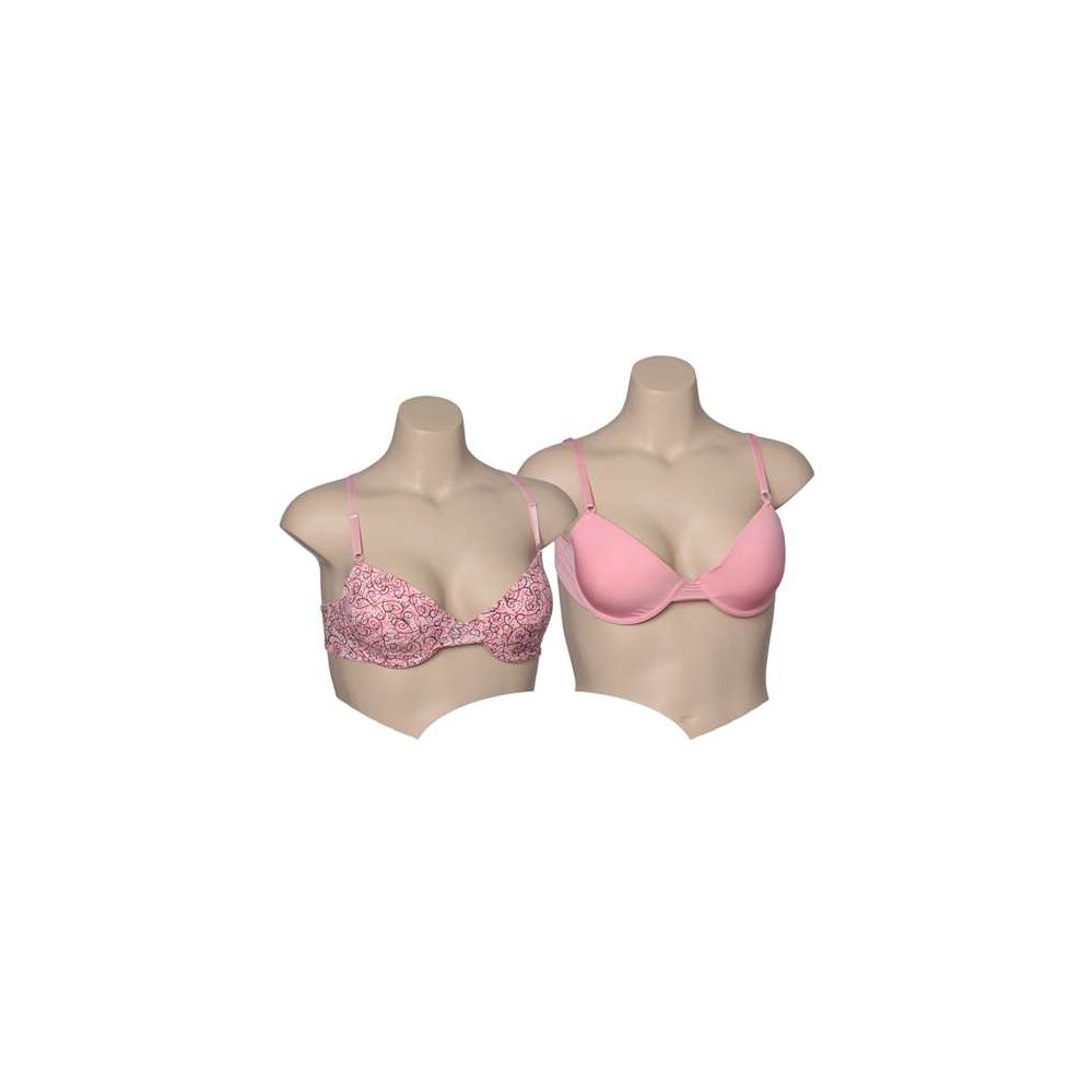 24 Wholesale Wholesale Full Figure Bra Combo Pack At
