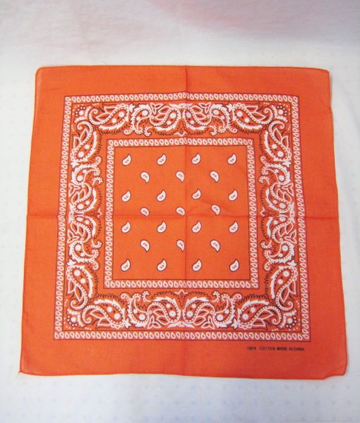 Bulk Bandanas Paisley Orange Bandanas - Wholesale Sock Deals