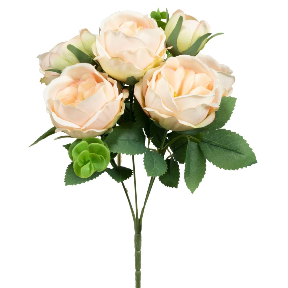 7 Head Cabbage Rose Bush 12 inch - Blush - SB