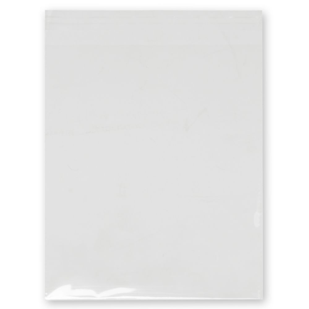 Wholesale Archival Bag - 10x12in - Wholesale Sock Deals