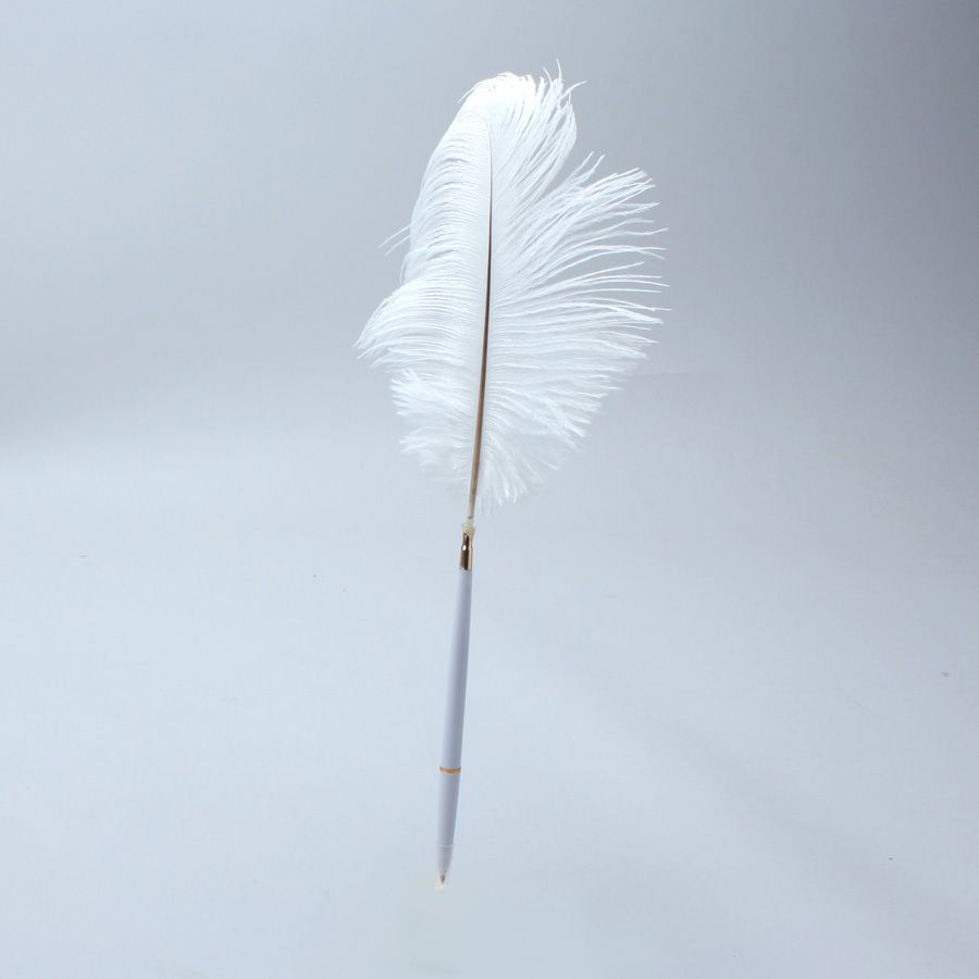 Plume Pen 12pc