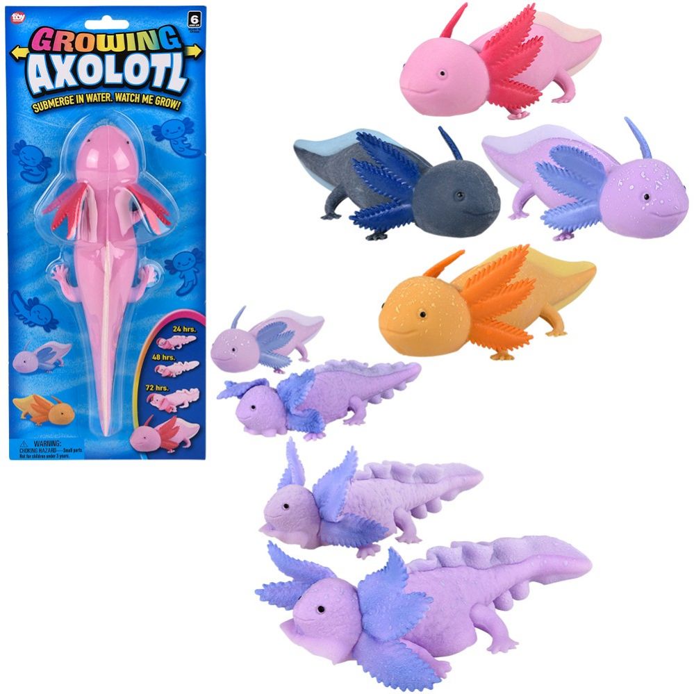 24 pieces 9 inch Growing Axolotl - Magic & Joke Toys - at ...
