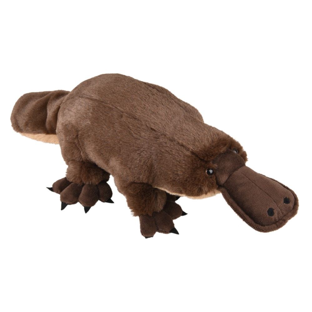 24 pieces 13 Inch Animal Den Platypus - Plush Toys - at ...