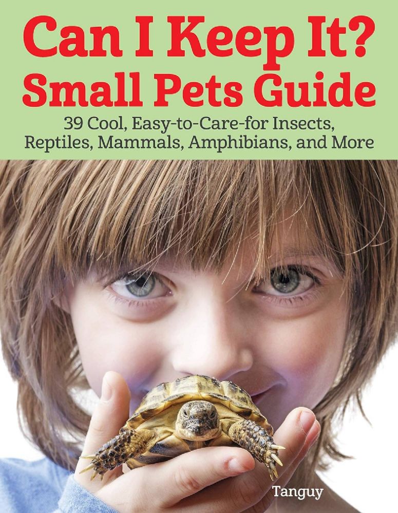 12 pieces Can I Keep It? Small Pets Guide - 39 Cool Pets To Care For ...