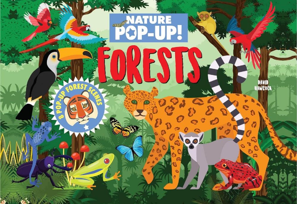 12 pieces Nature PoP-Up! Forests - 8 PoP-Up Forest Scenes - Coloring ...