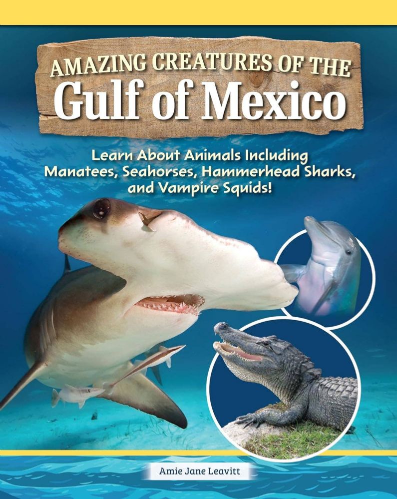 12 pieces Amazing Creatures Of The Gulf Of Mexico -Learn About Animals ...