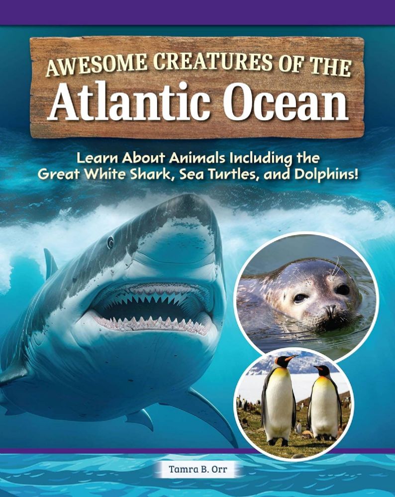 12 pieces Awesome Creatures Of The Atlantic Ocean -Learn About Animals ...