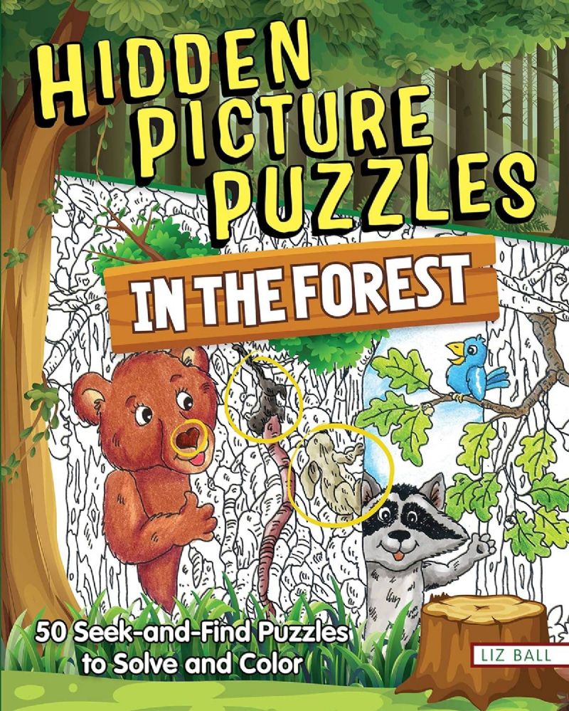 Bulk Hidden Picture Puzzles In The Forest - Wholesale Sock Deals