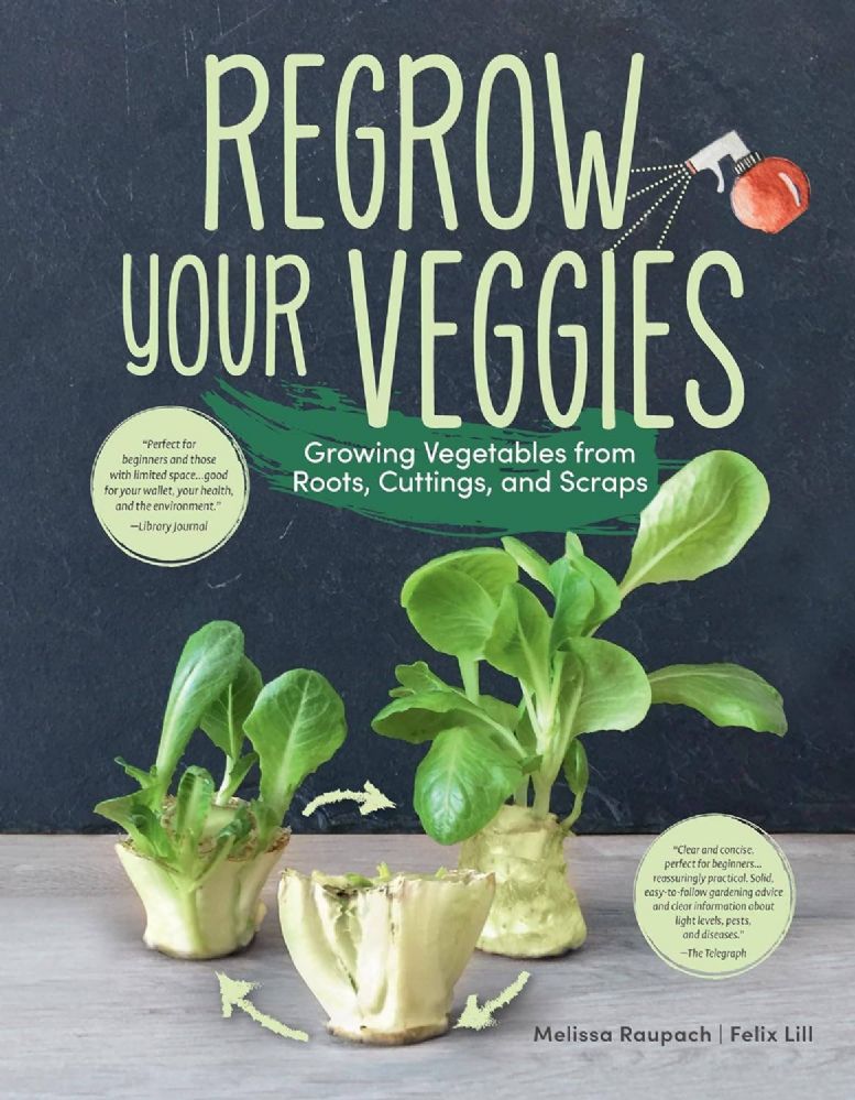 12 pieces Regrow Your Veggies - Growing From Roots, Cuttings & Scraps ...