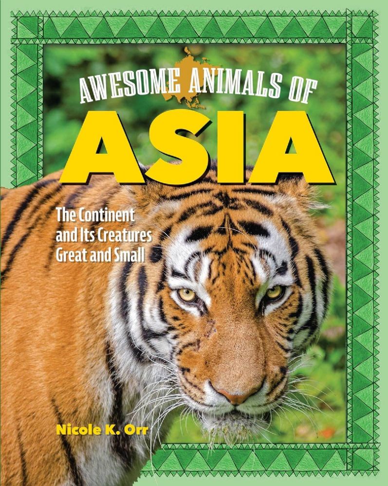 Bulk Awesome Animals Of Asia - Wholesale Sock Deals