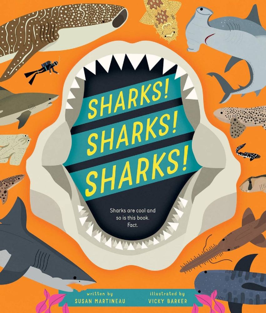 Sharks! Sharks! Sharks! - Children's Illustrated Book (hc) - SB