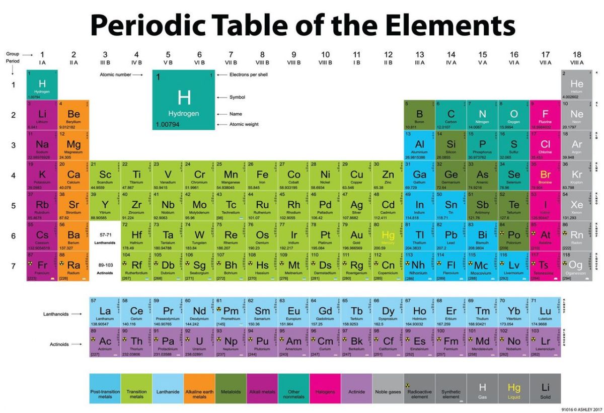 24 Wholesale Smart Poly Chart 13"x19", Periodic Table - WSD