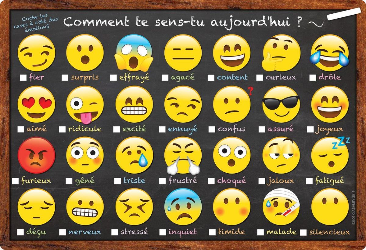 24 Pieces French Immersion Smart Poly Chart 13 inch x19 inch, Emotion ...