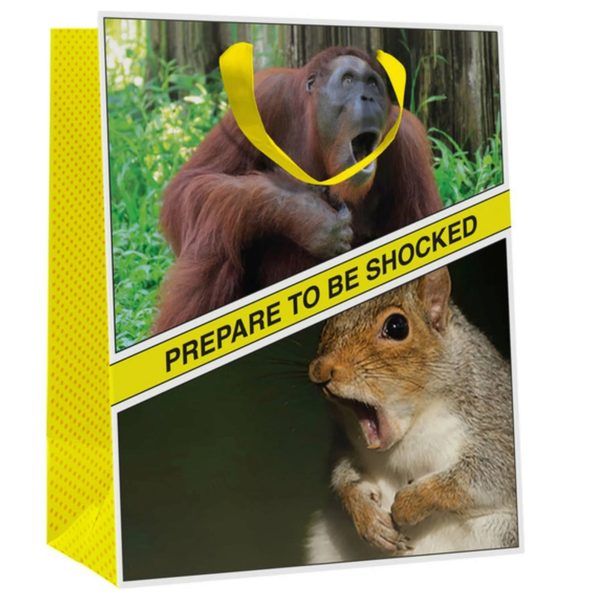 48 pieces What Do You Meme Prepare To Be Shocked Gift Bag - Gift Bags ...