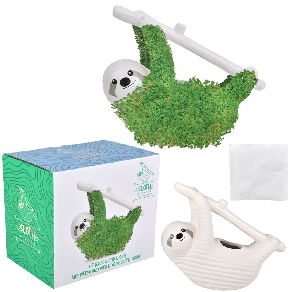 12 pieces Sloth Plater - Store - at - alltimetrading.com